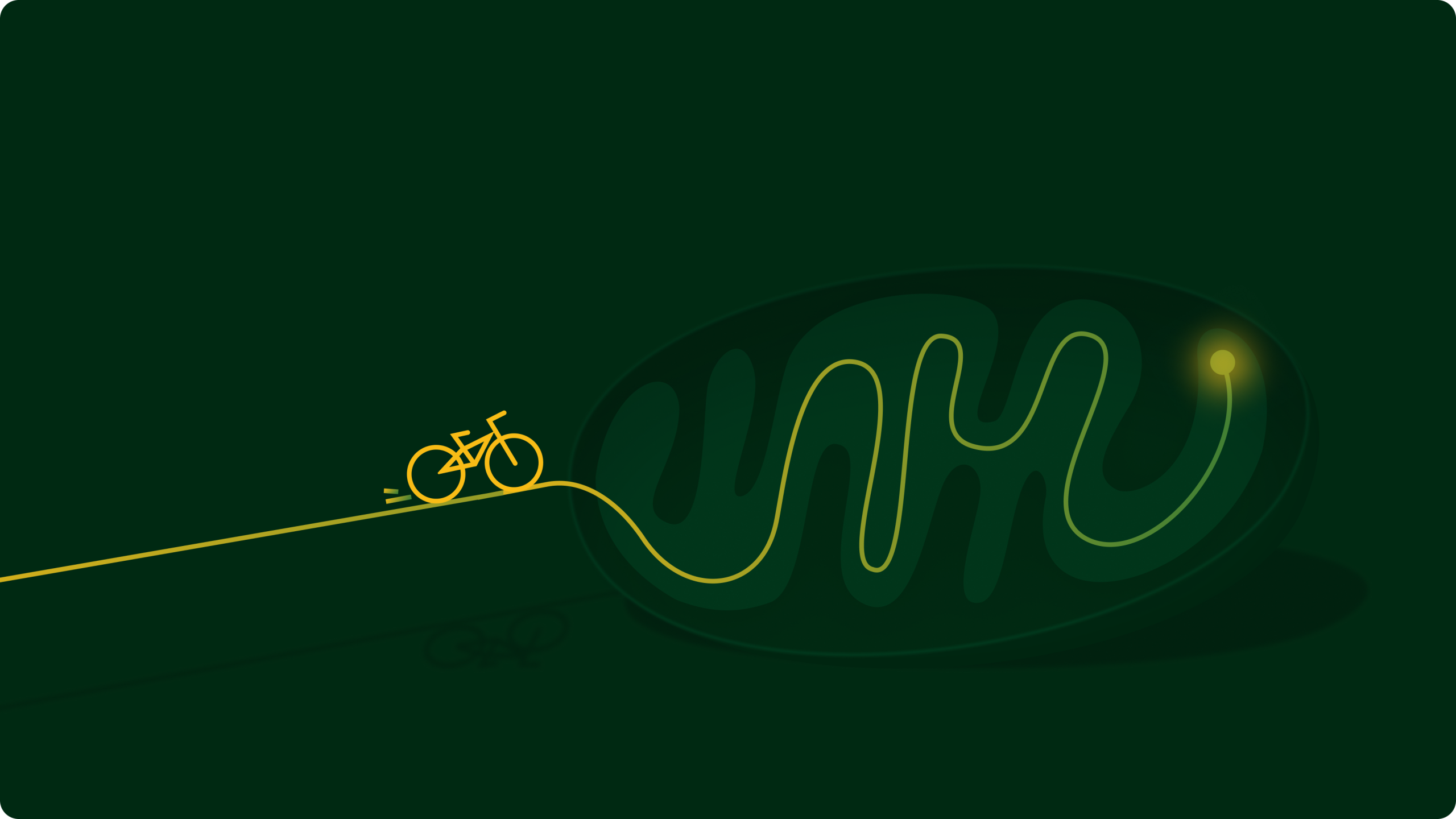 How Exercise Boosts Mitochondrial Biogenesis And Cellular Energy